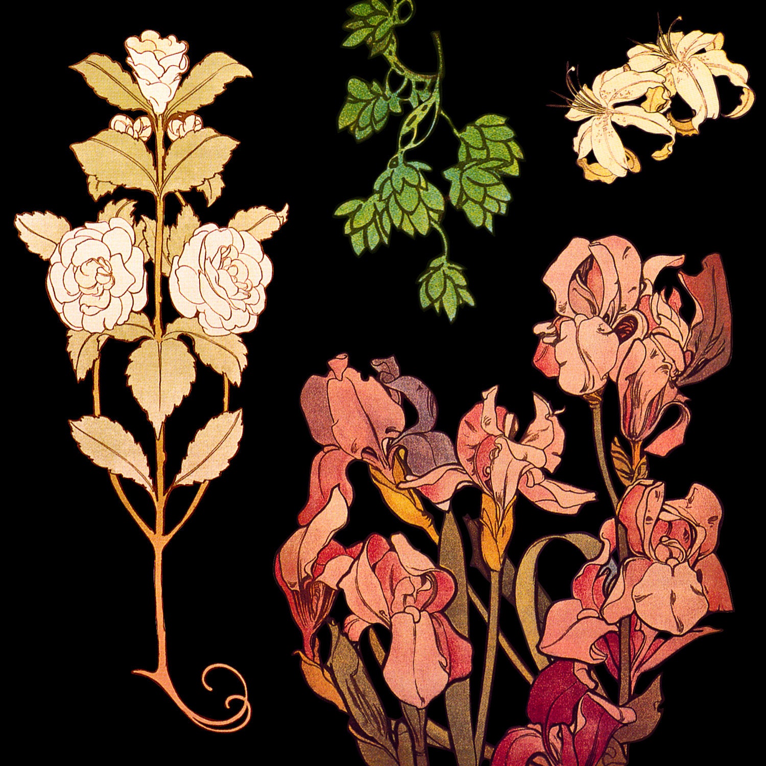 Antique Floral Illustration Clip Art Design Element Vintage Art Nouveau ...