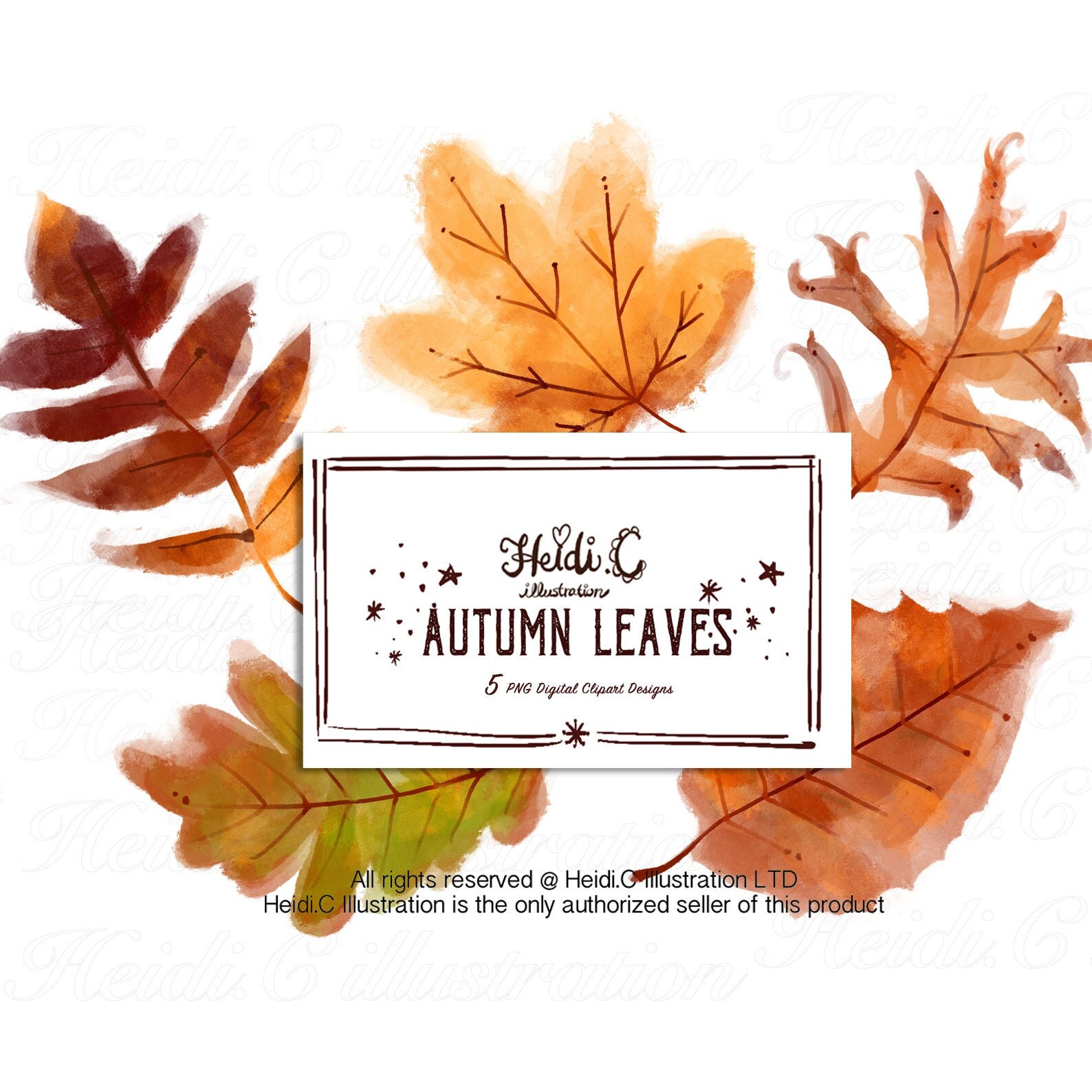 Fall Leaves Clipart Fall Leaves Png Fall Leaves Clip Art - Etsy