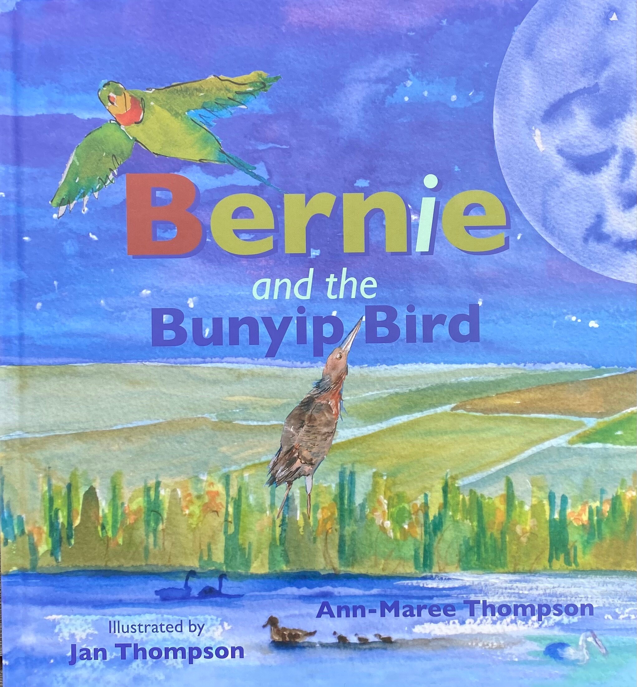 Children's Book Bernie and the Bunyip Bird - Etsy