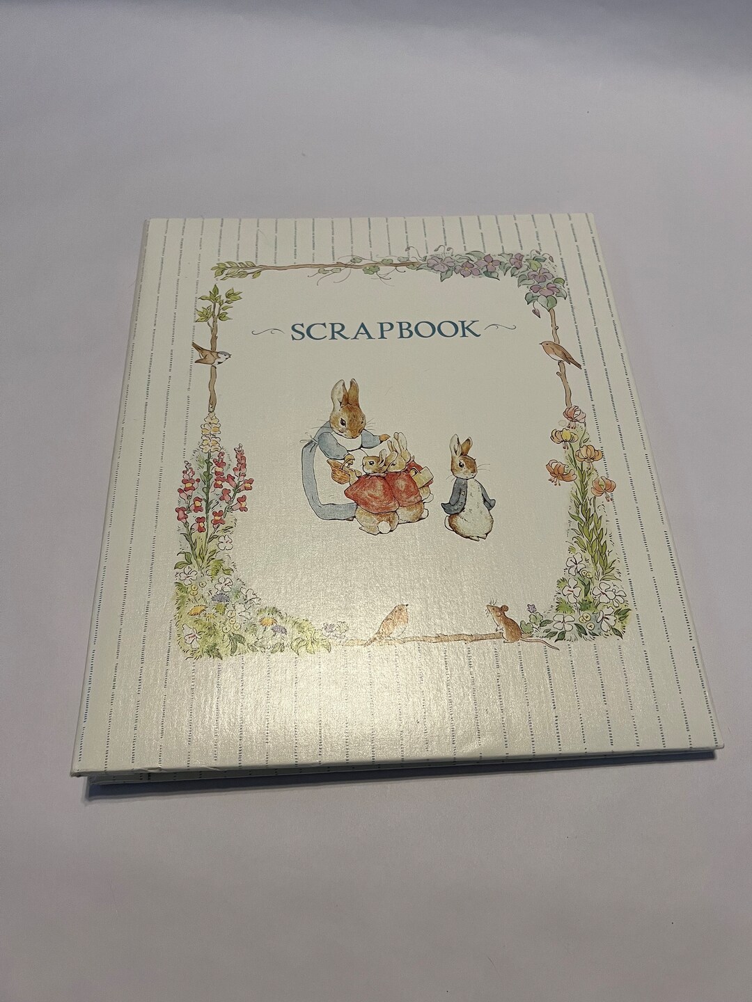 Vintage 1990 Beatrix Potter Peter Rabbit Scrapbook Blank 30 Pages C.R ...