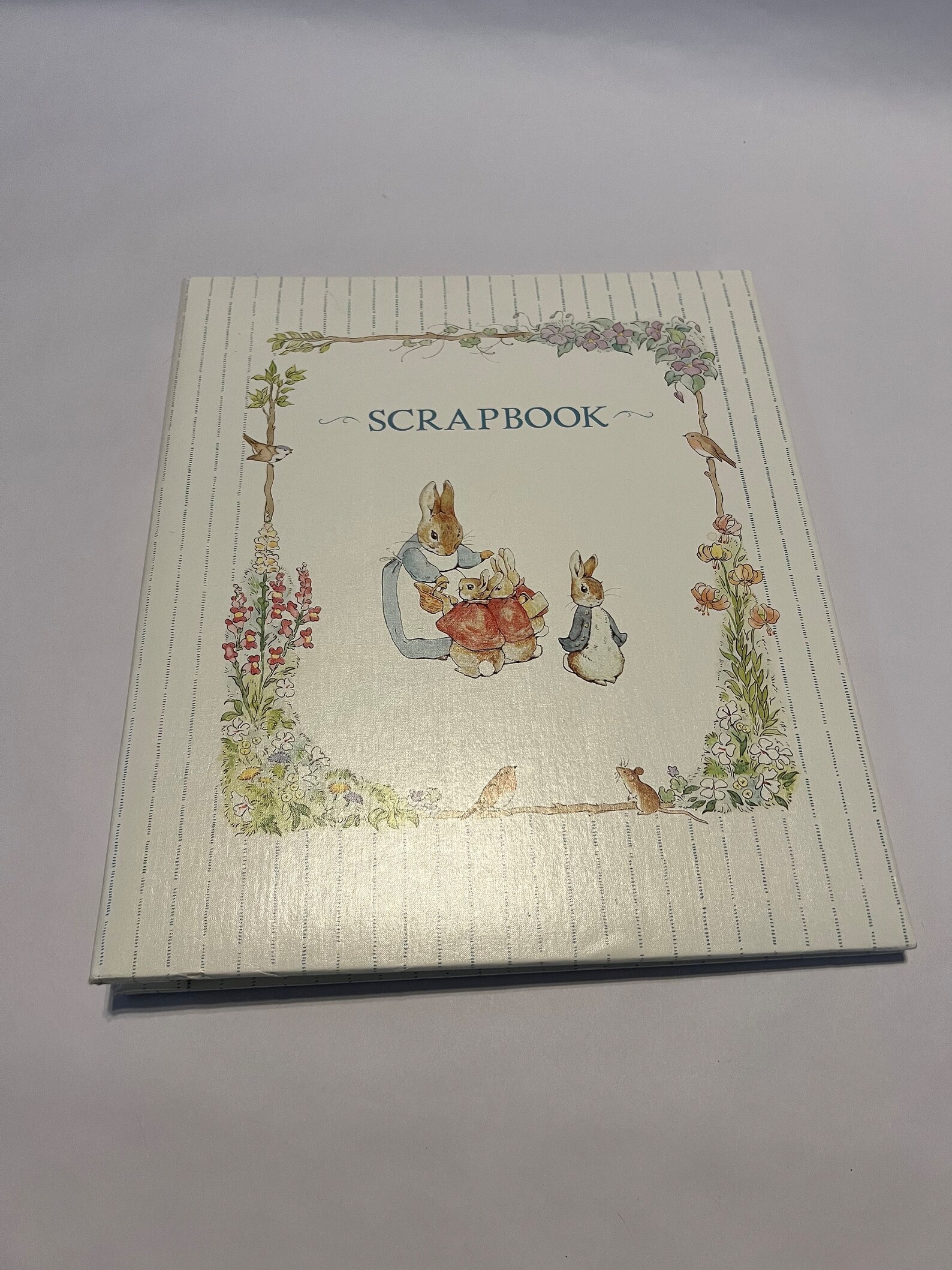 Vintage 1990 Beatrix Potter Peter Rabbit Scrapbook Blank 30 Pages C.R ...