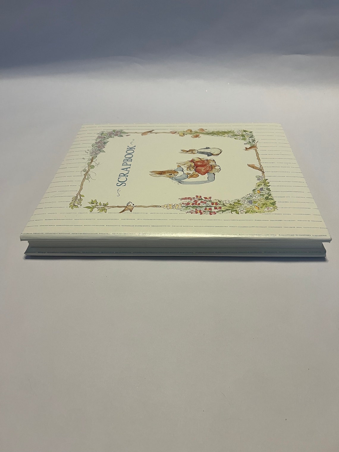 Vintage 1990 Beatrix Potter Peter Rabbit Scrapbook Blank 30 Pages C.R ...