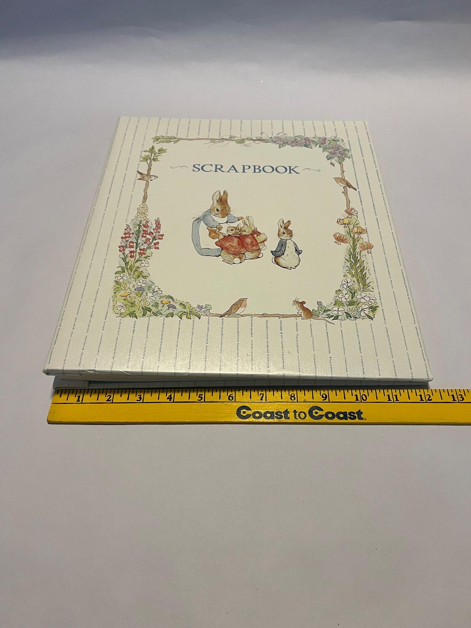 Vintage 1990 Beatrix Potter Peter Rabbit Scrapbook Blank 30 Pages C.R ...