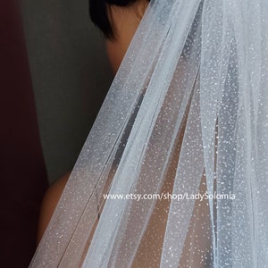 Shimmer Veil, Sparkle Veil, Simple Glitter Veil - Etsy