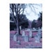 Cemetery Stickers 5 Pack Stickers Gothic Graveyard Goth - Etsy