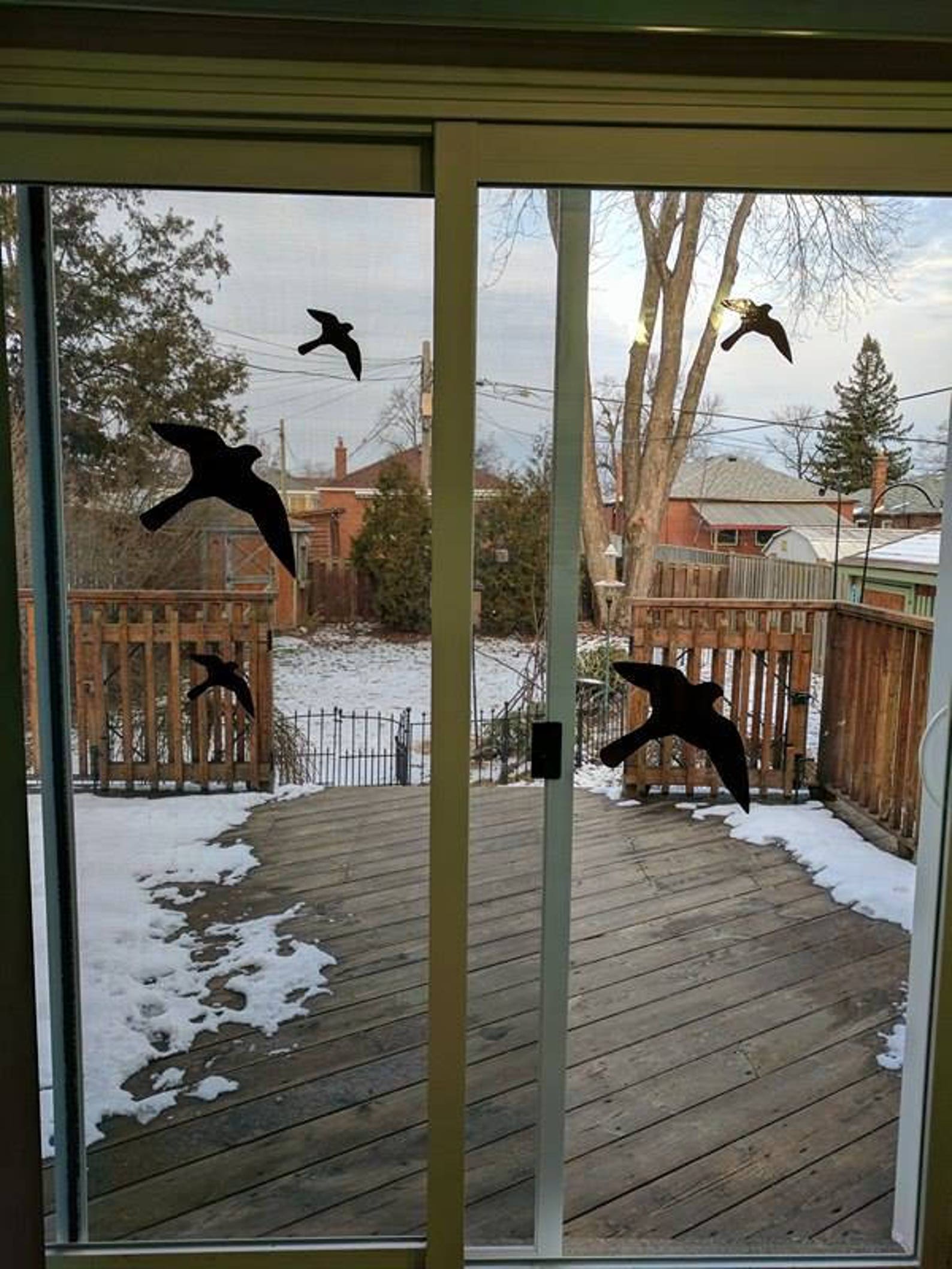 Bird Window Decal, Window Cling, Static Cling Window Decal, Removable ...