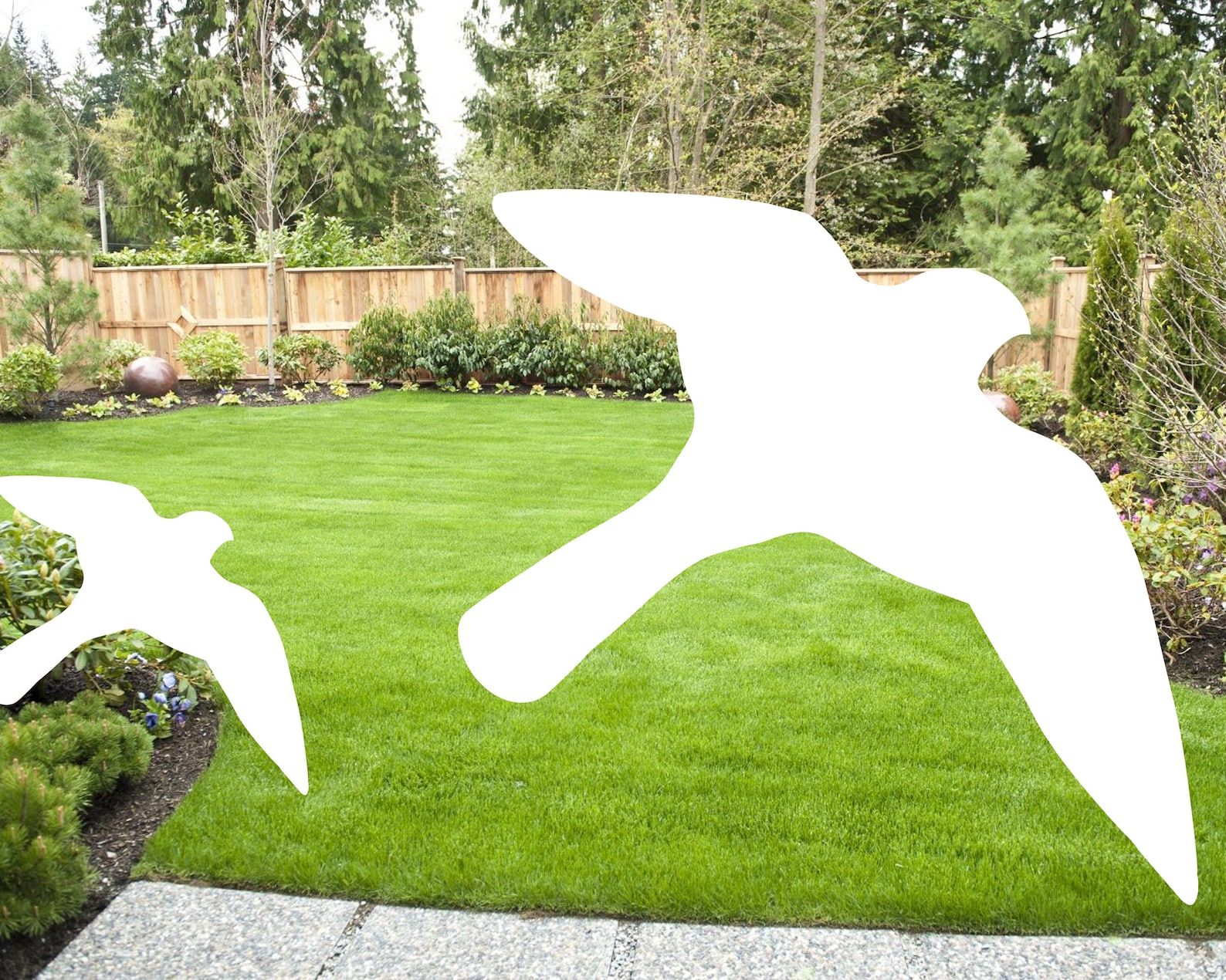 Bird Window Decal, Window Cling, Static Cling Window Decal, Removable ...