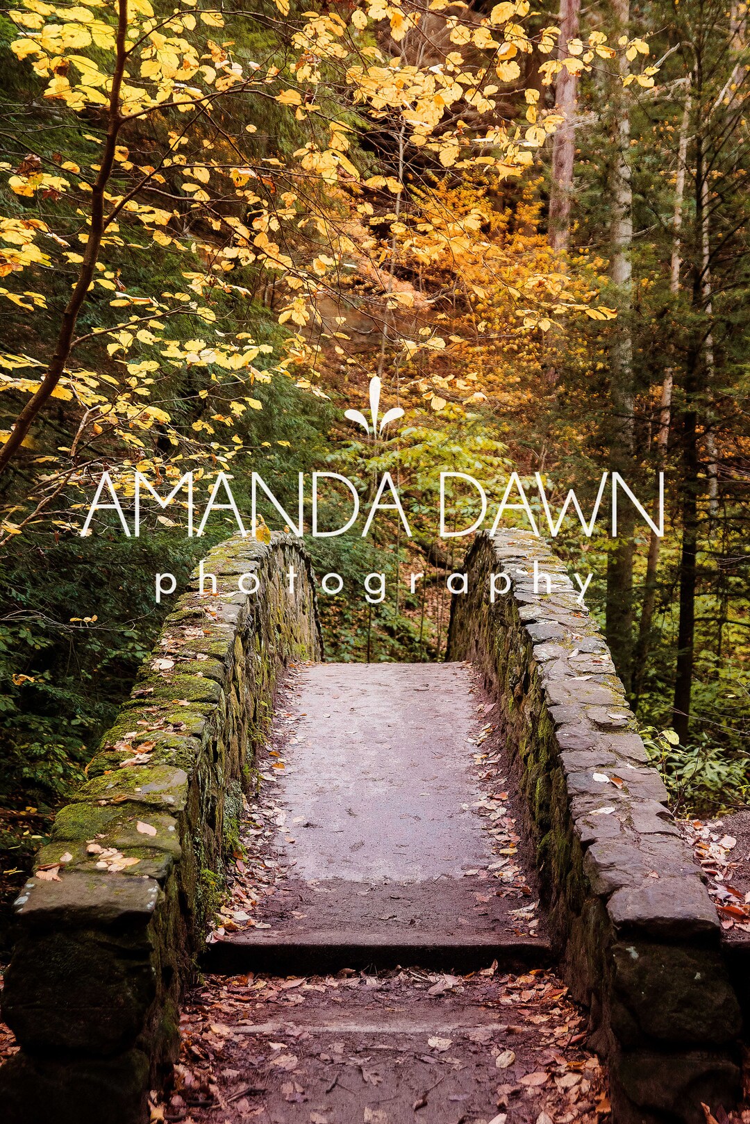 Enchanted Bridge - Etsy