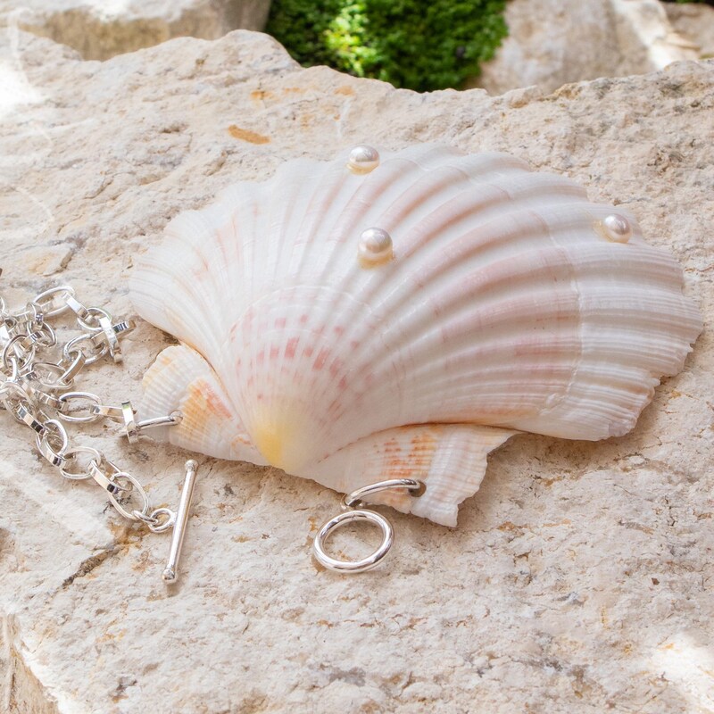 Shell Jewelry - Etsy