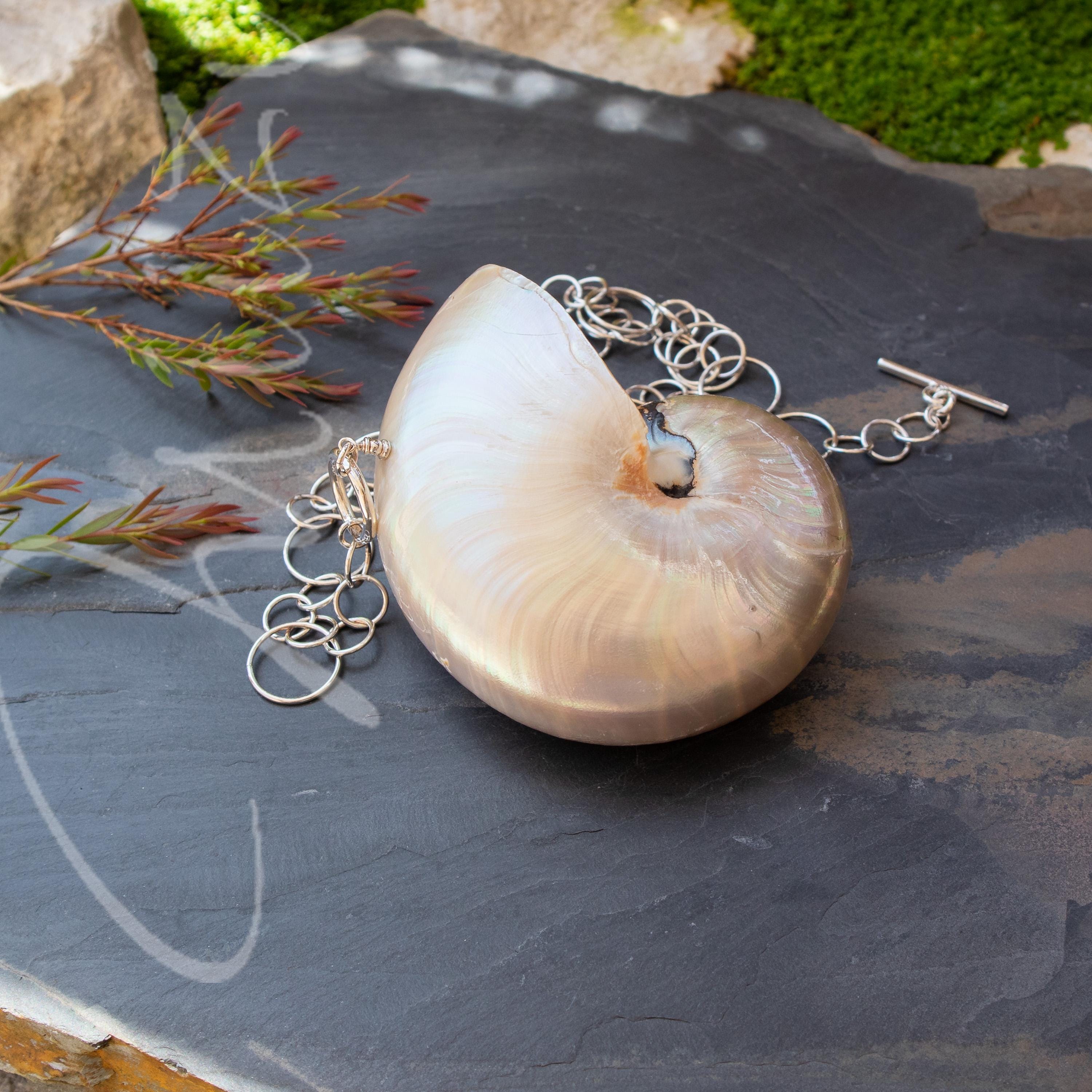 Large Pearly Nautilus Shell Necklace, Sterling Silver Chain Iridescent ...