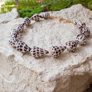 Hawaiian Hebrew Cone Shell Choker, Reversible Shell Necklace, Real ...