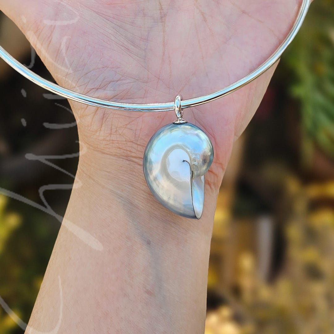 Pearly Light Blue Nautilus Shell Necklace, Sterling Silver Choker ...