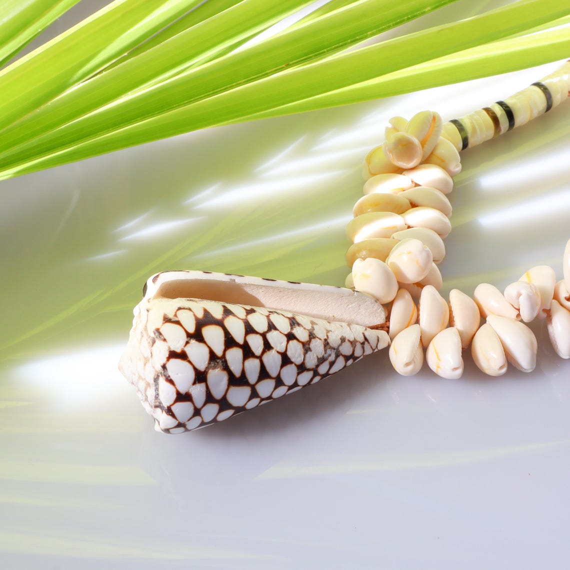 Hawaiian Cone Shell Necklace, Chunky Beachy Statement Jewelry, Natural ...