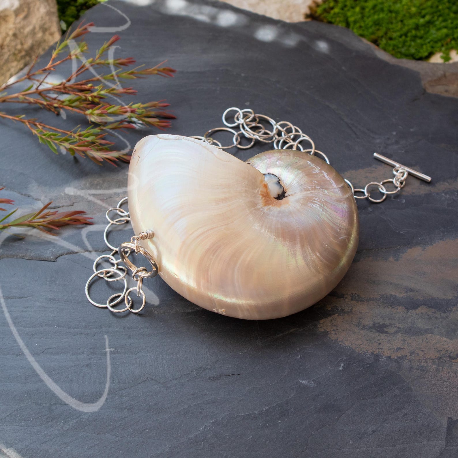 Large Pearly Nautilus Shell Necklace, Sterling Silver Chain Iridescent ...