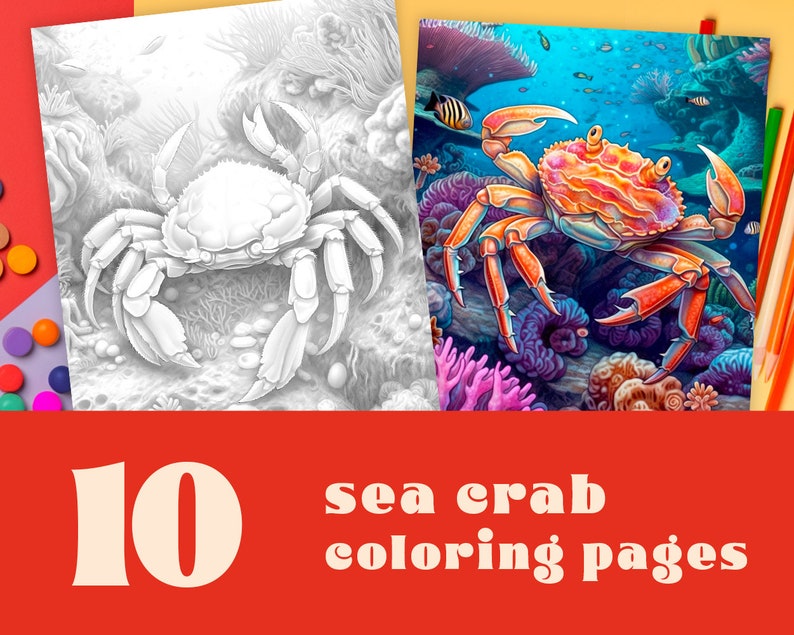 10 Photorealistic Crab Coloring Pages Sea Life Ocean Life - Etsy