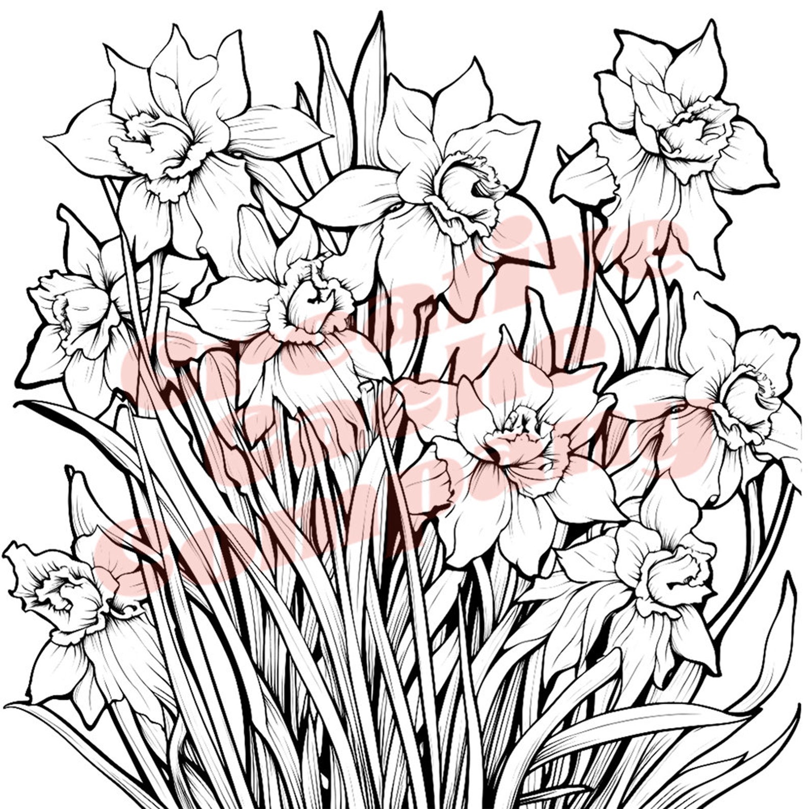 100 Printable Summer Flower Coloring Pages Bundle Sunflower, Daffodil ...