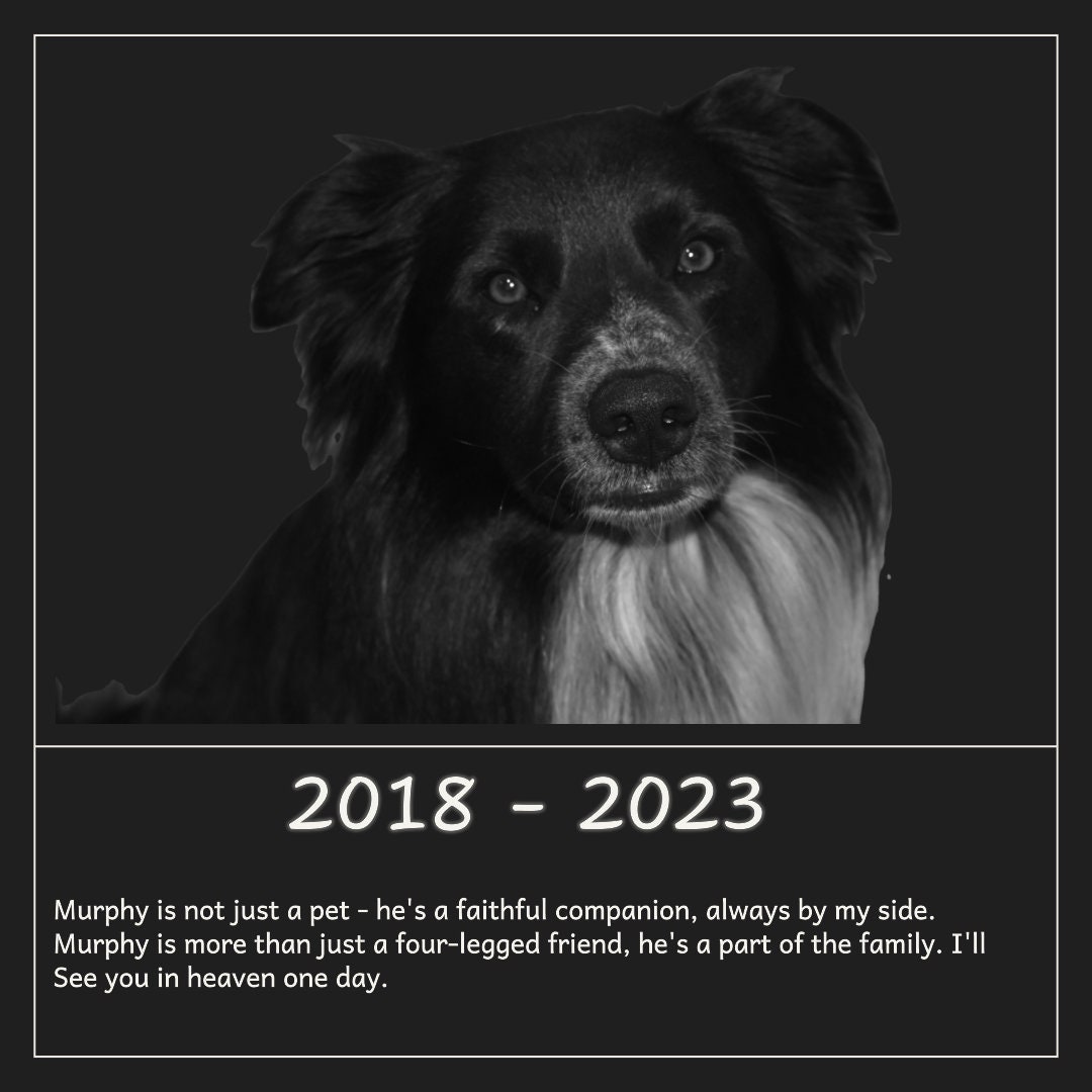 Custom Granite Pet Memorial - Etsy