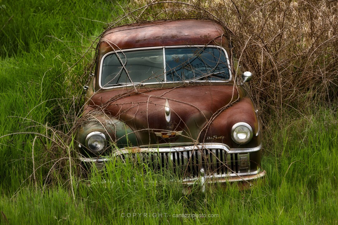 Tangled Car / Rustic Color Photograph, Fine Art, Rustic Wall Art Print ...