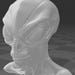 Alien Head Bust STL File for 3D Printer 3D Print Model. Commercial Use ...