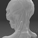 Alien Head Bust STL File for 3D Printer 3D Print Model. Commercial Use ...