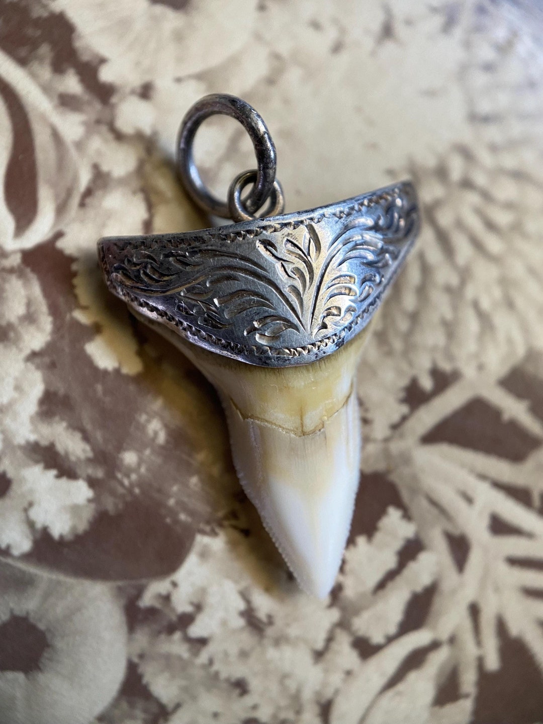 Antique Victorian Sharks Tooth Amulet Pendant in Engraved Silver ...