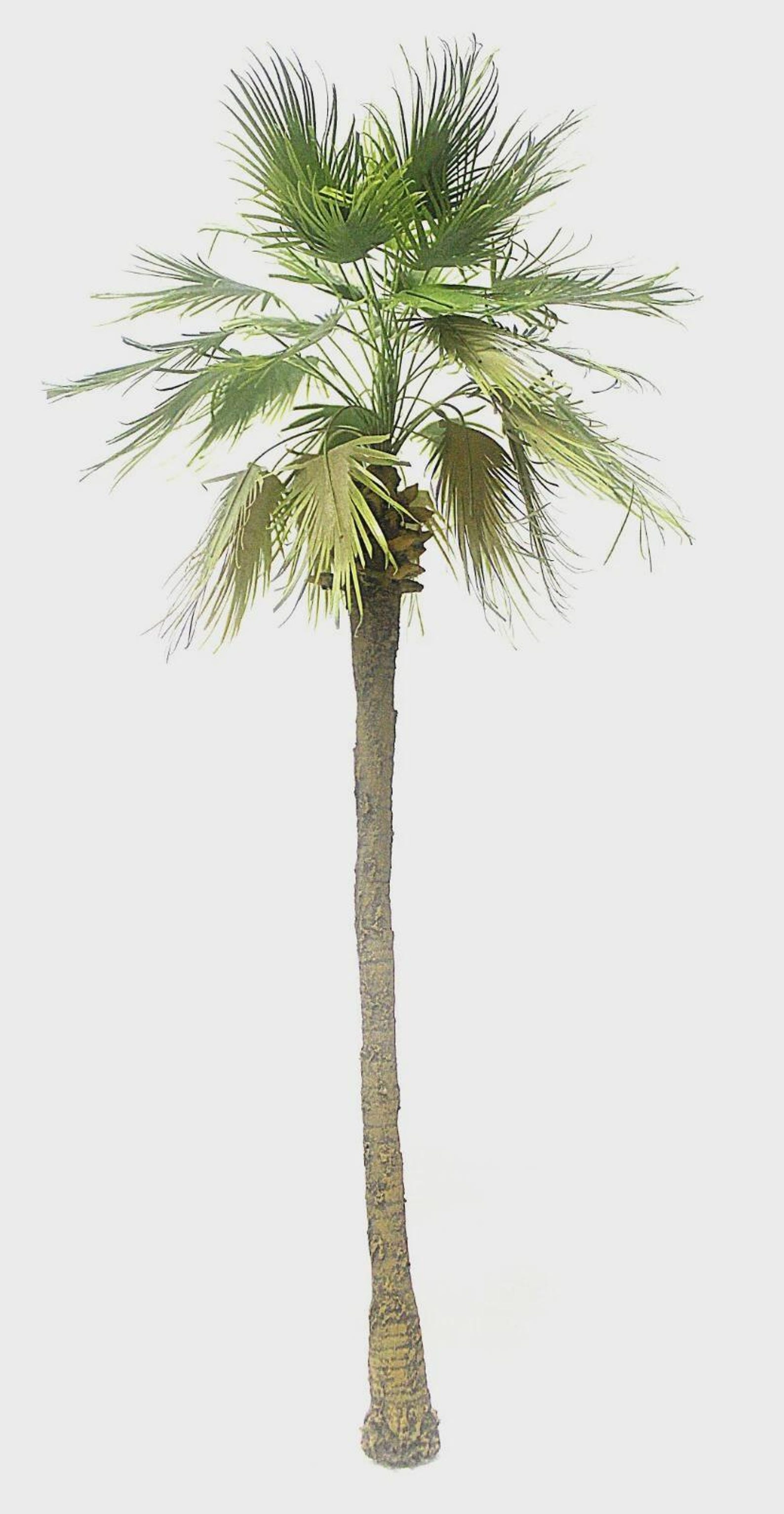 Handmade 1/35 Scale Tropical Palm Tree – Miniature Diorama Model - Etsy