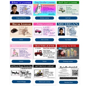 Kid's Fake Drivers License, Adult Joke Licenses, Fake Kids State ...