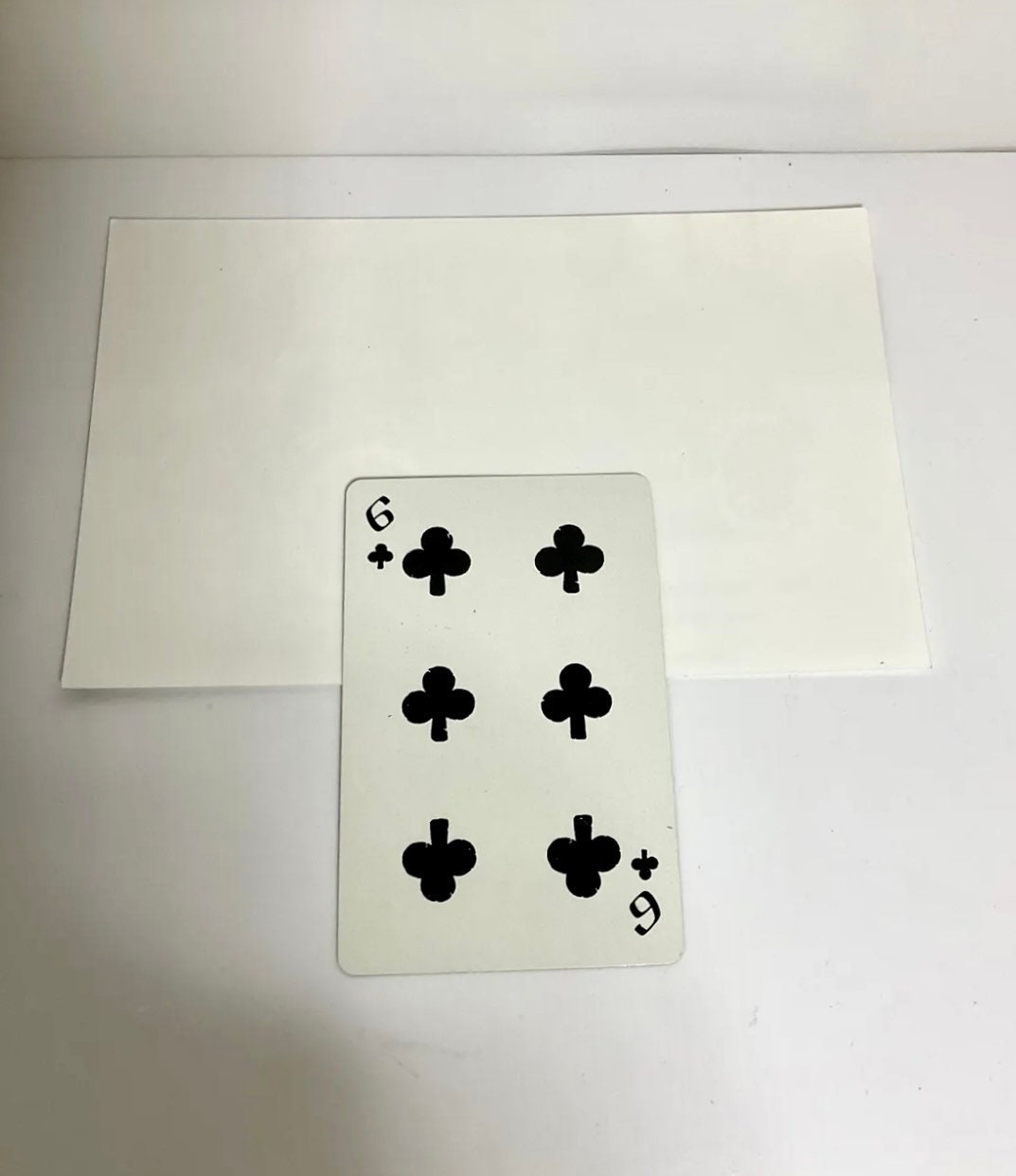 Womans Suffrage Playing Card and Photo of the Golden Flier - Etsy