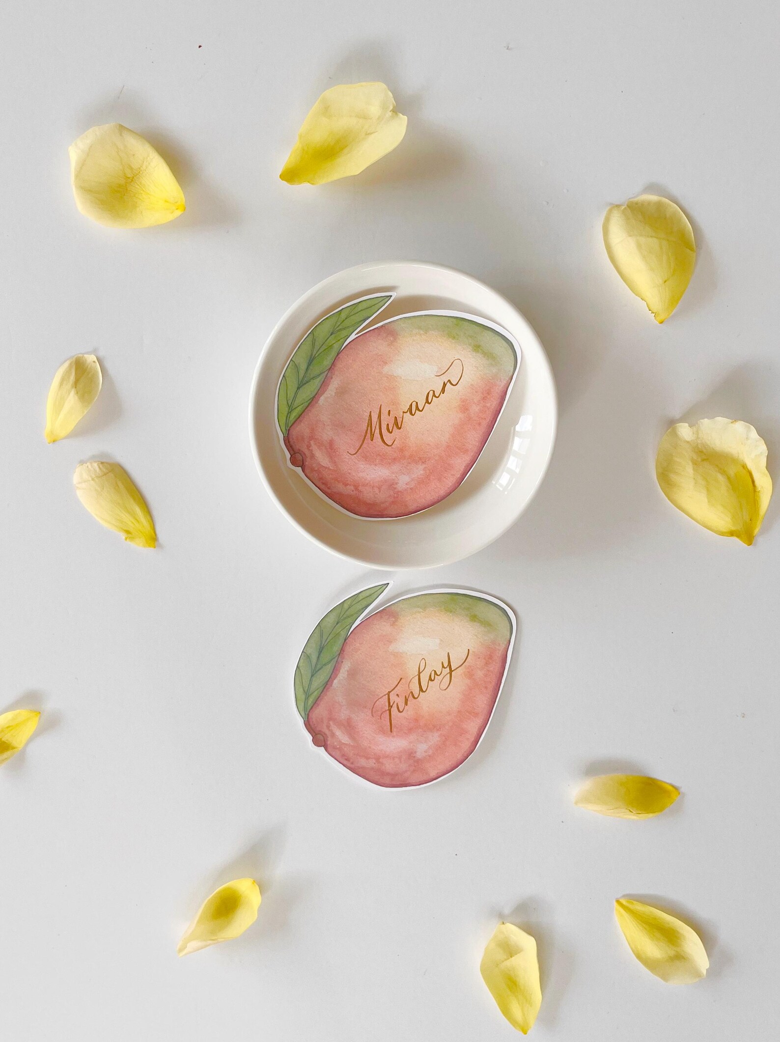 Personalized Watercolor Fruit Place Cards: Summer Party Name Tags - Etsy