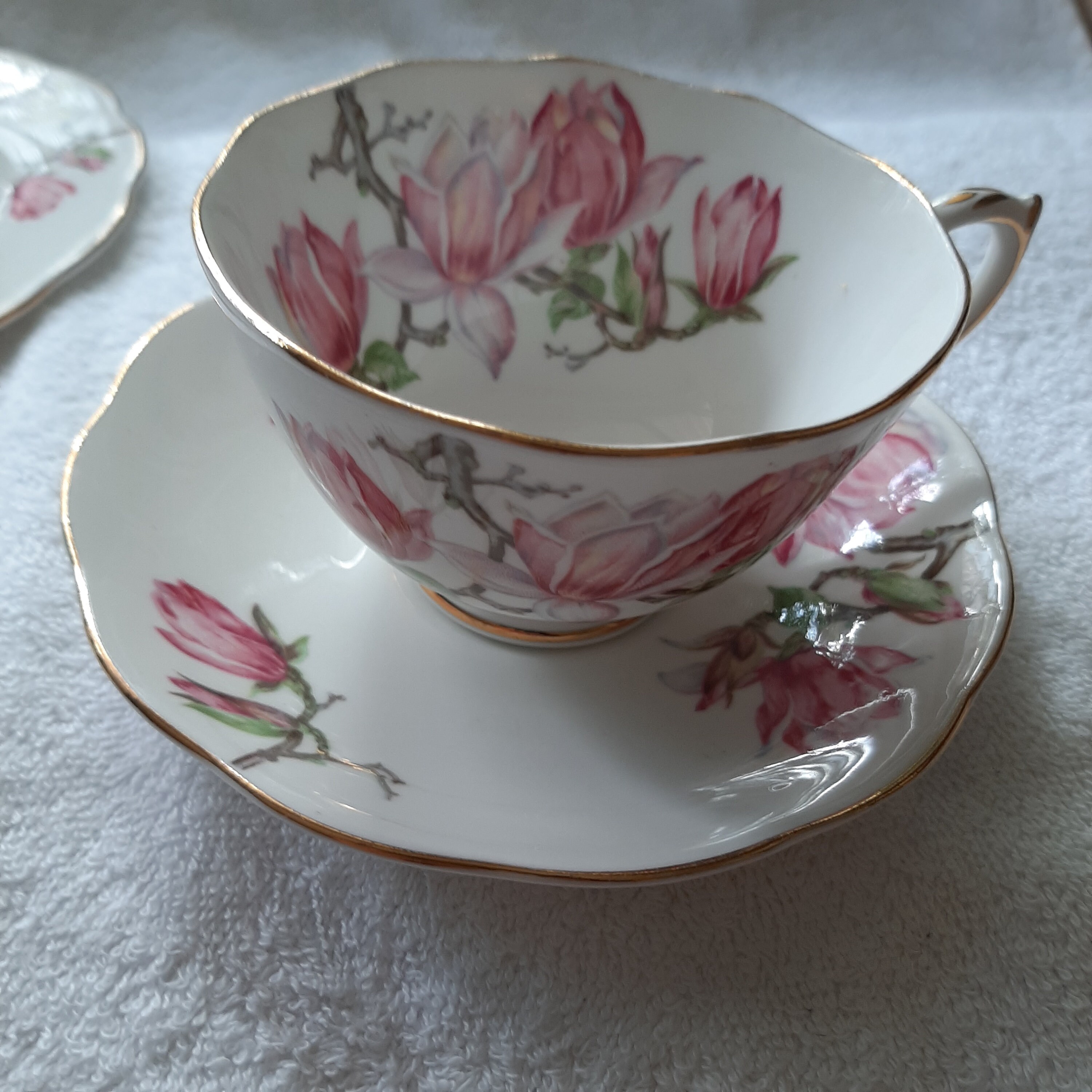 Roslyn Tea Set Magnolia - Etsy