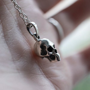 Mini Skull Necklace - Sterling Silver 925 - Etsy