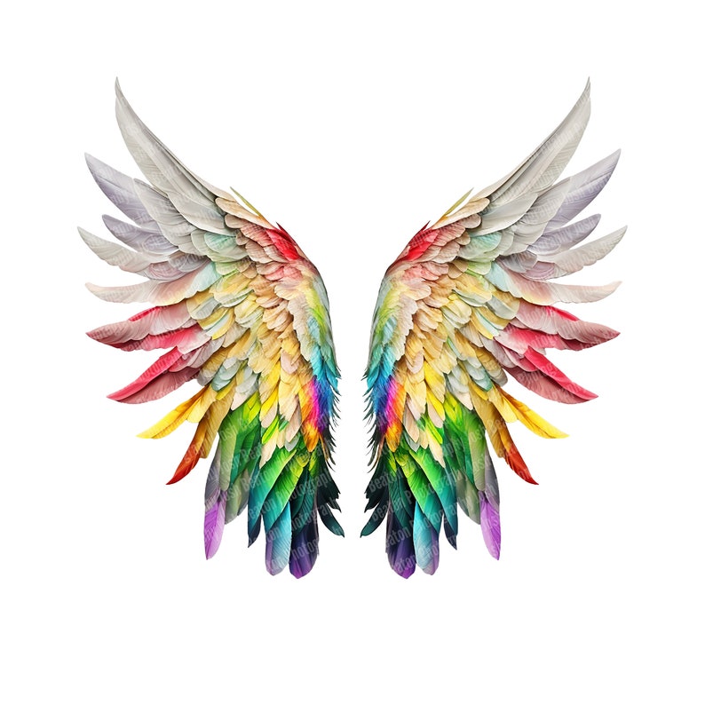 Pride Angel Wings Fully Masked - Etsy