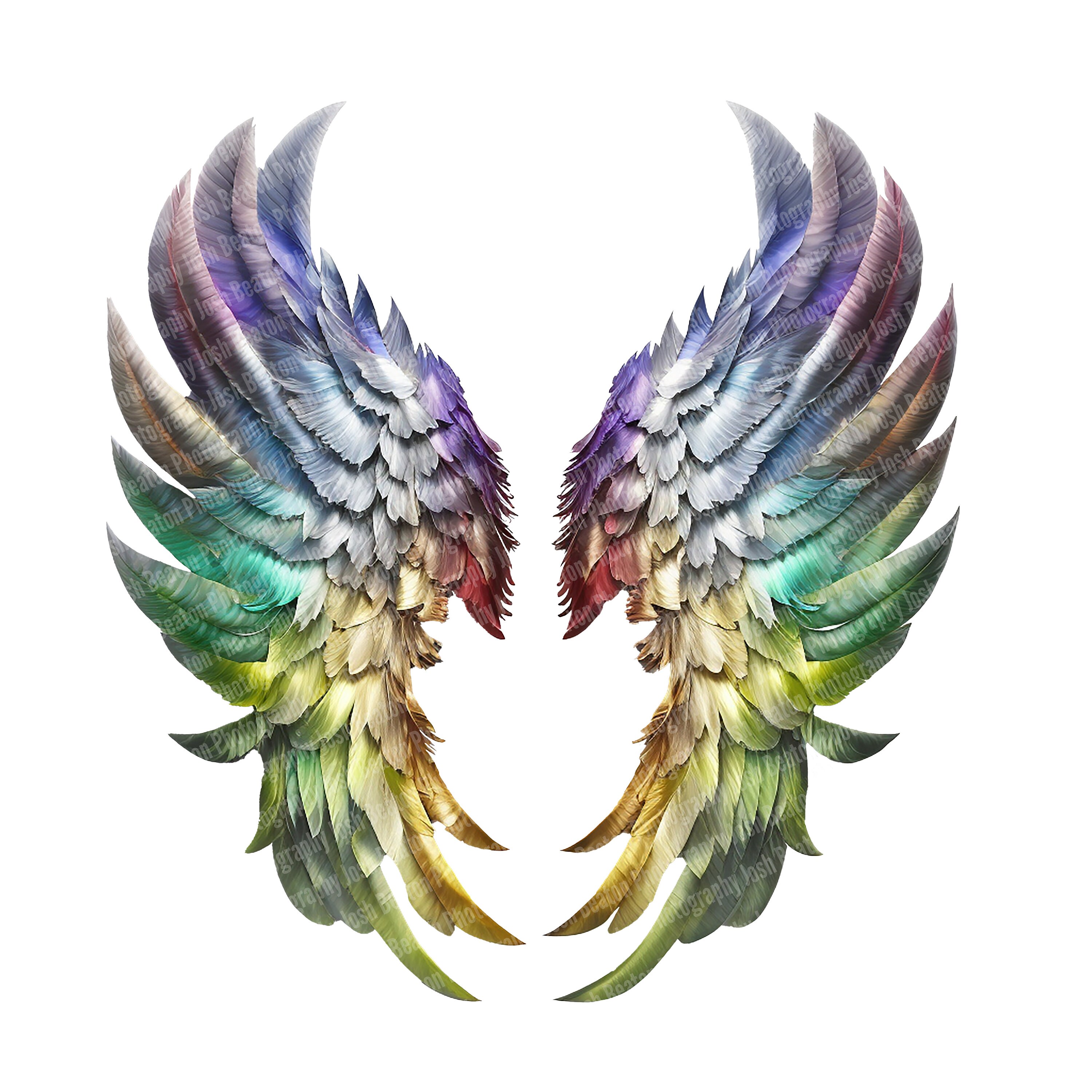 Pride Angel Wings Fully Masked - Etsy