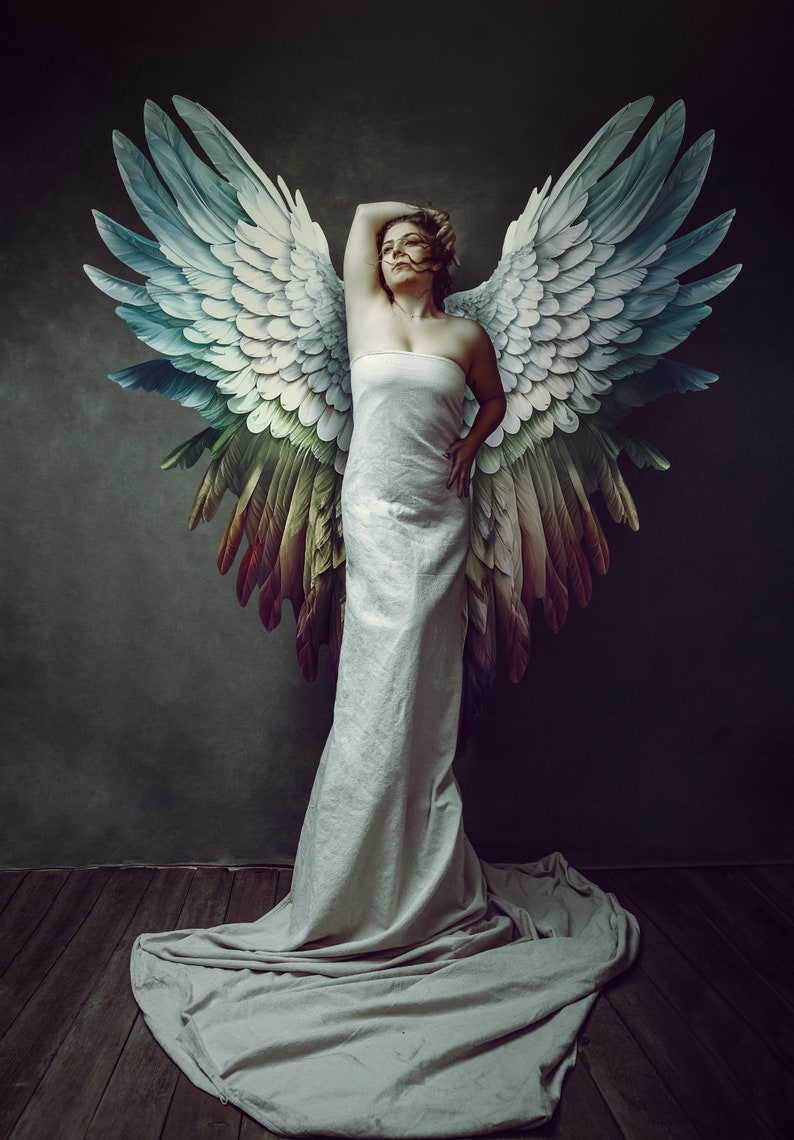 Pride Angel Wings Fully Masked - Etsy