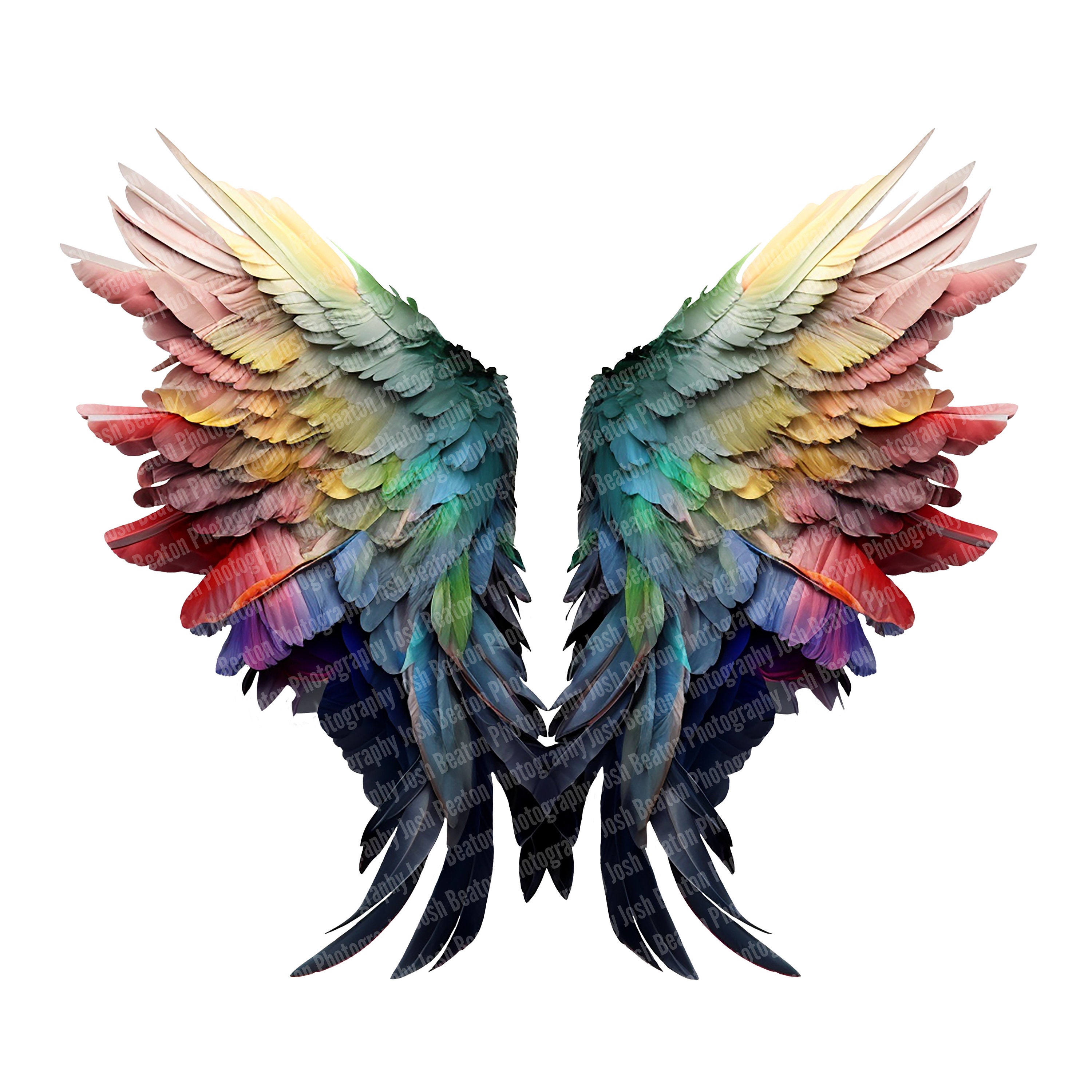 Pride Angel Wings Fully Masked - Etsy