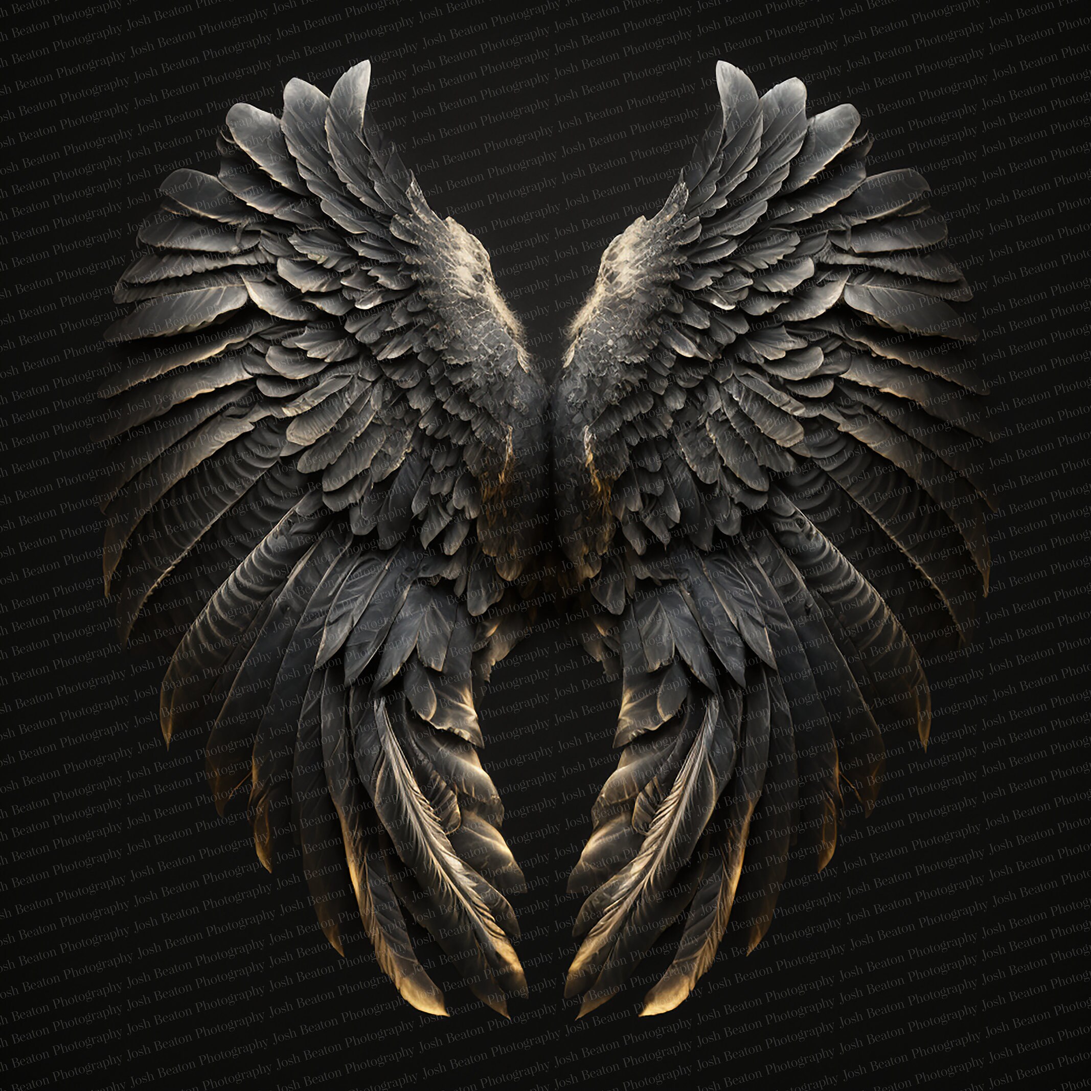 Black Gothic Angel Wings - Etsy