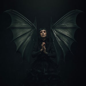 Fully Masked Fallen Angel Wings - Etsy