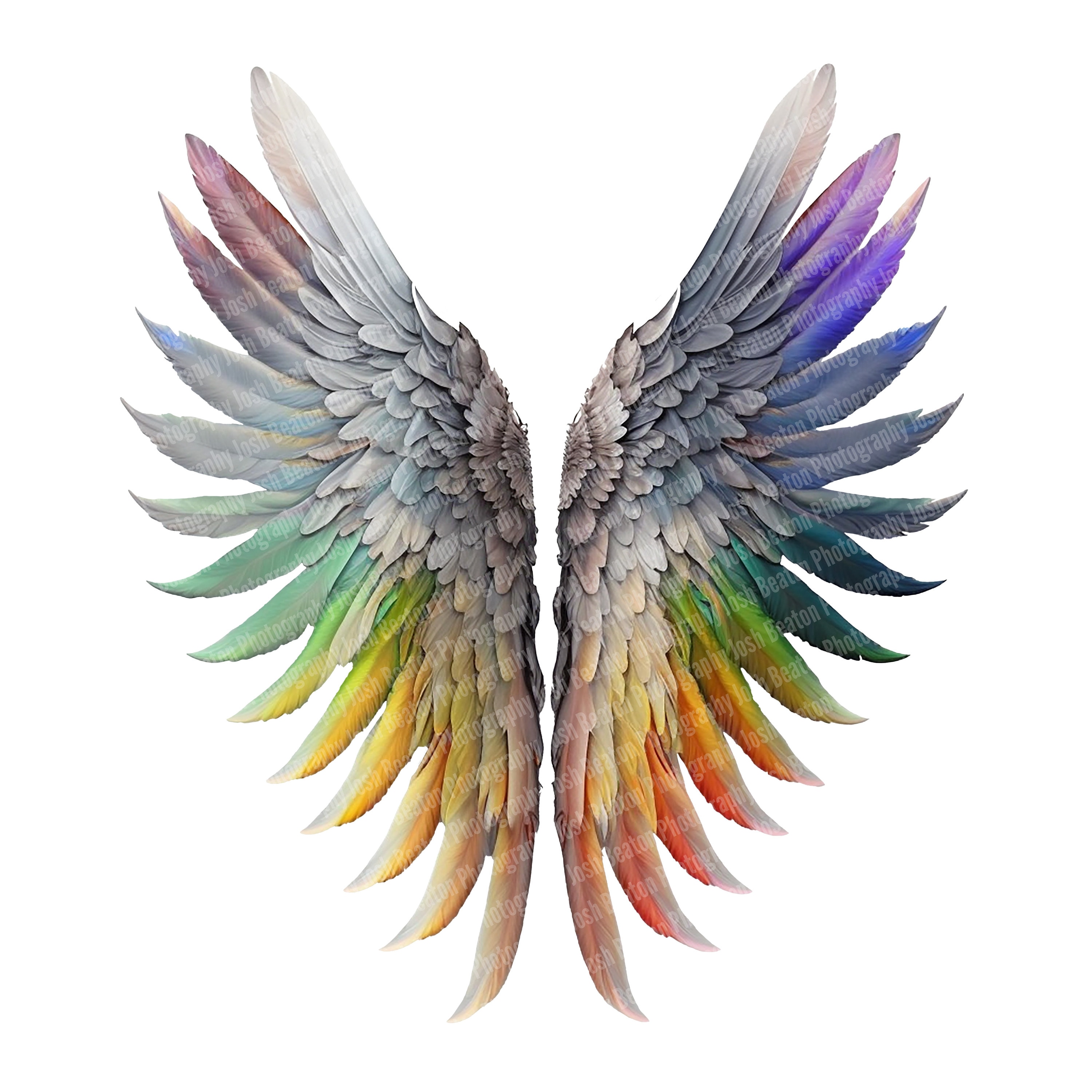 Pride Angel Wings Fully Masked - Etsy