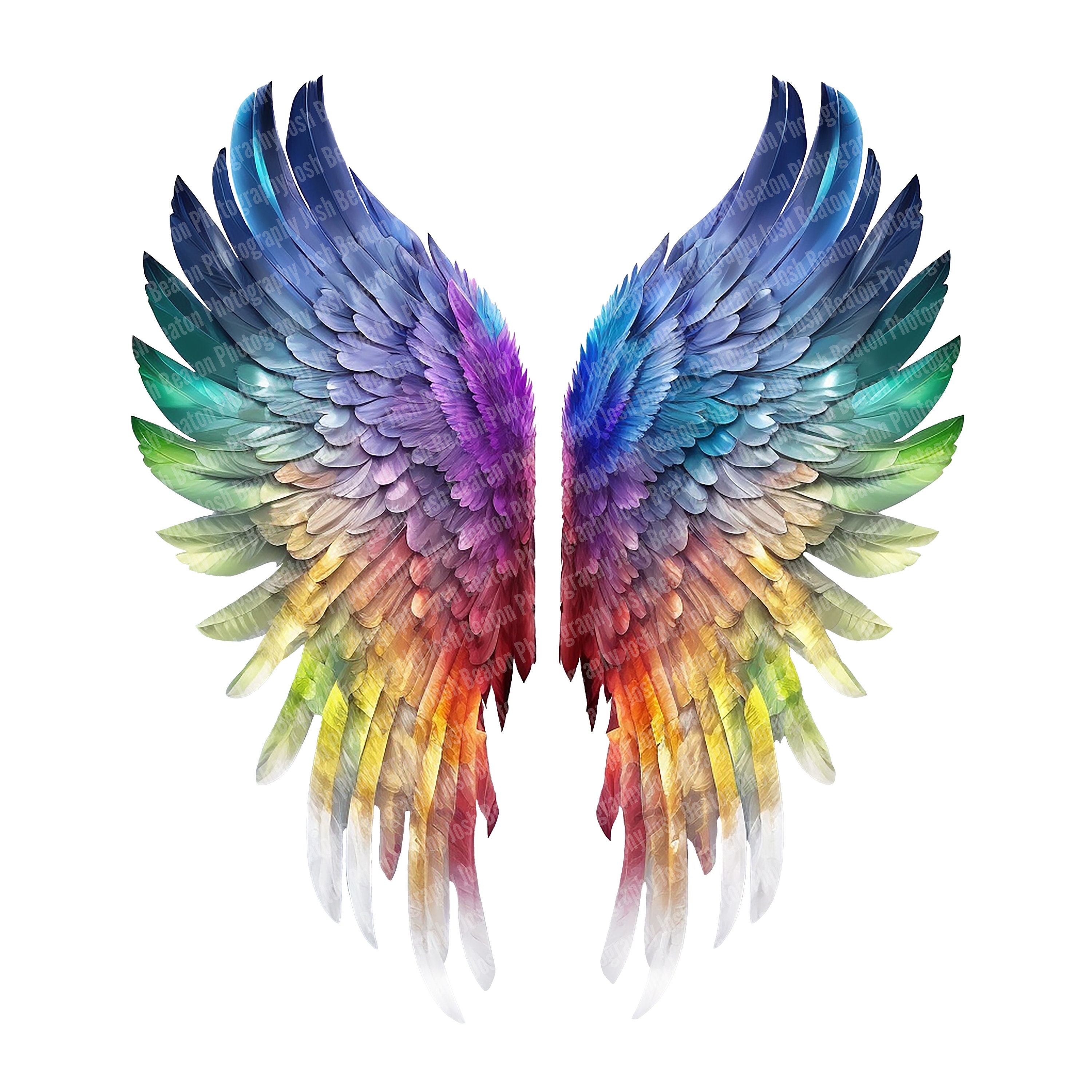 Pride Angel Wings Fully Masked - Etsy