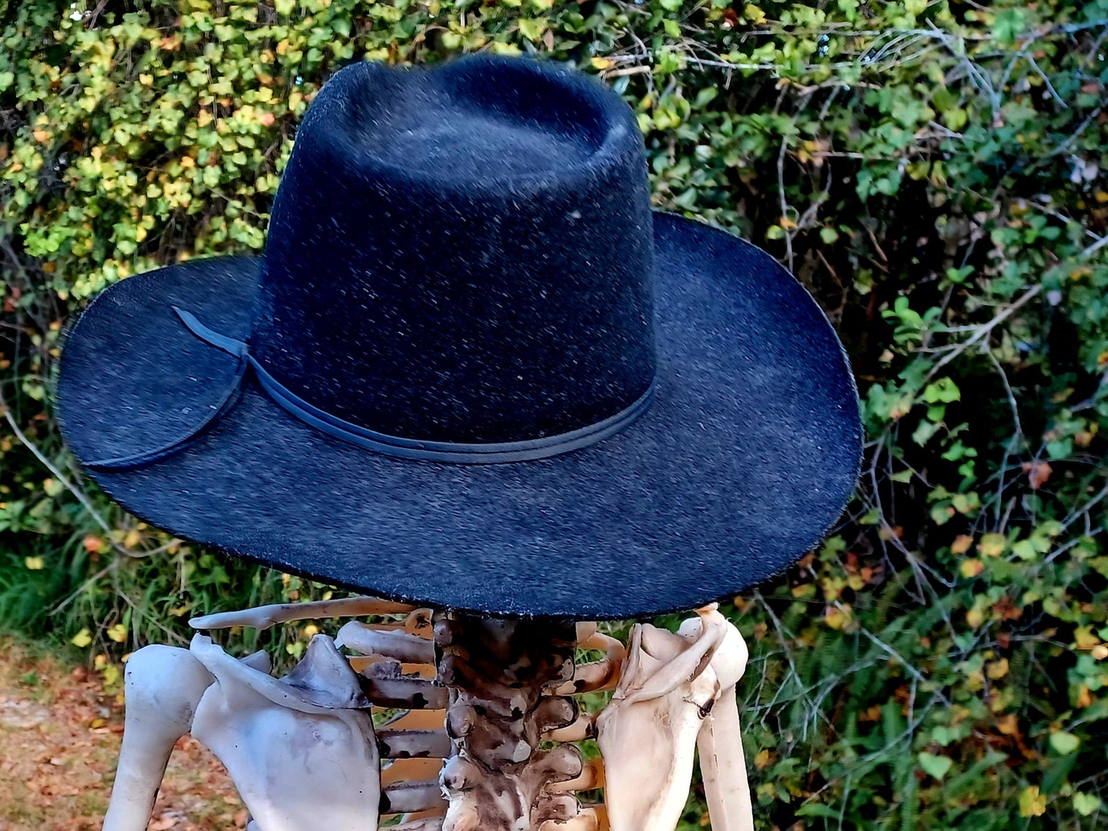 Stetson Pony Express Cowboy Hat - Etsy