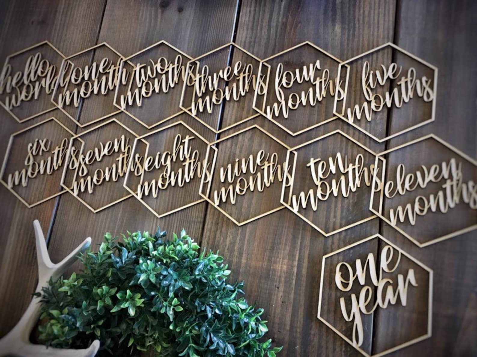 Baby Monthly Milestone Photography Prop Set Picture Photo | Etsy