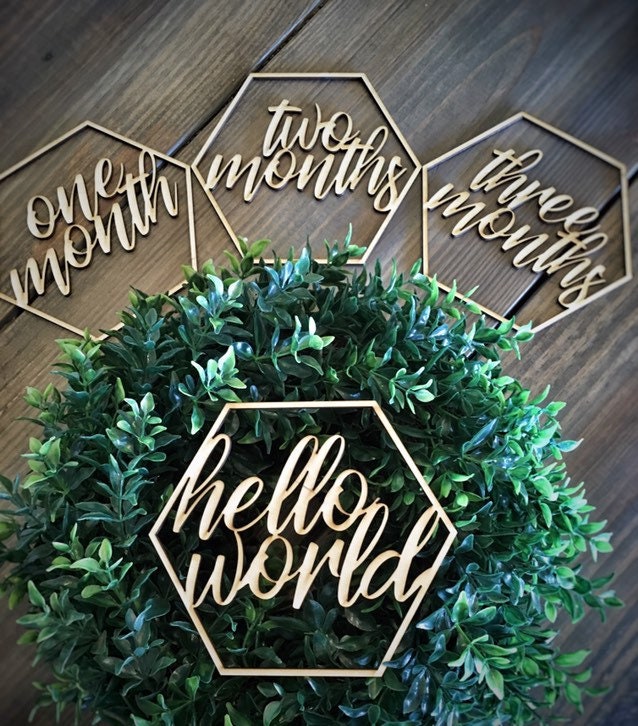 Baby Monthly Milestone Photography Prop Set Picture Photo | Etsy