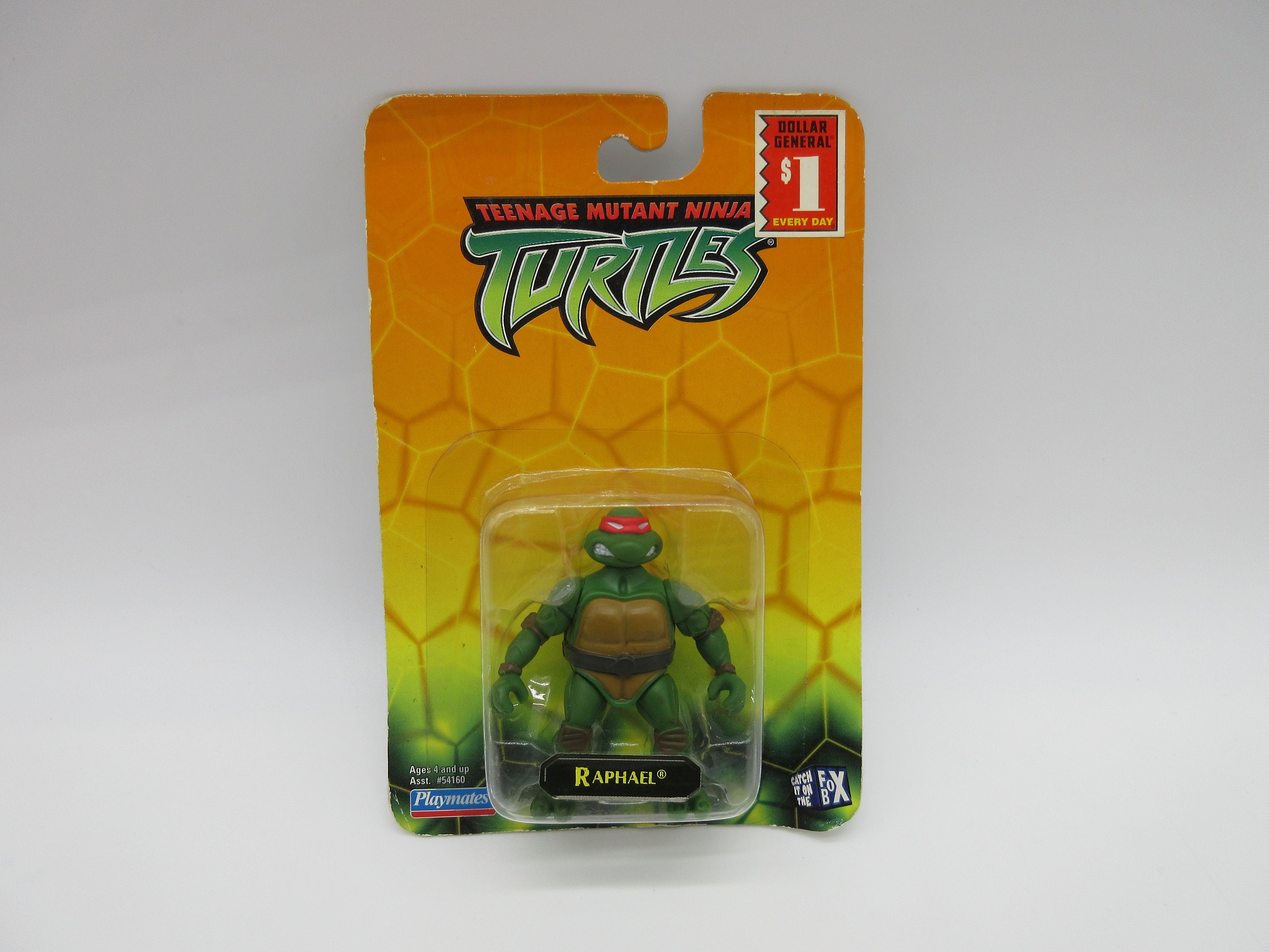 Dollar General Money Turtle
