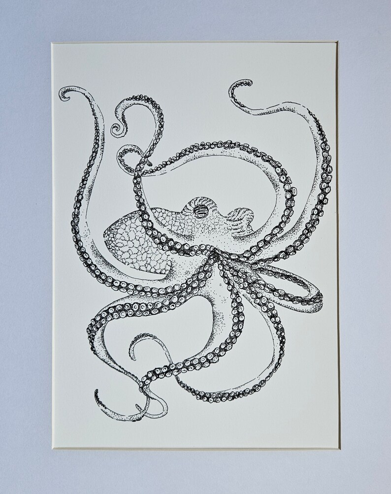 Octopus Ink Drawing Original Art Print - Etsy