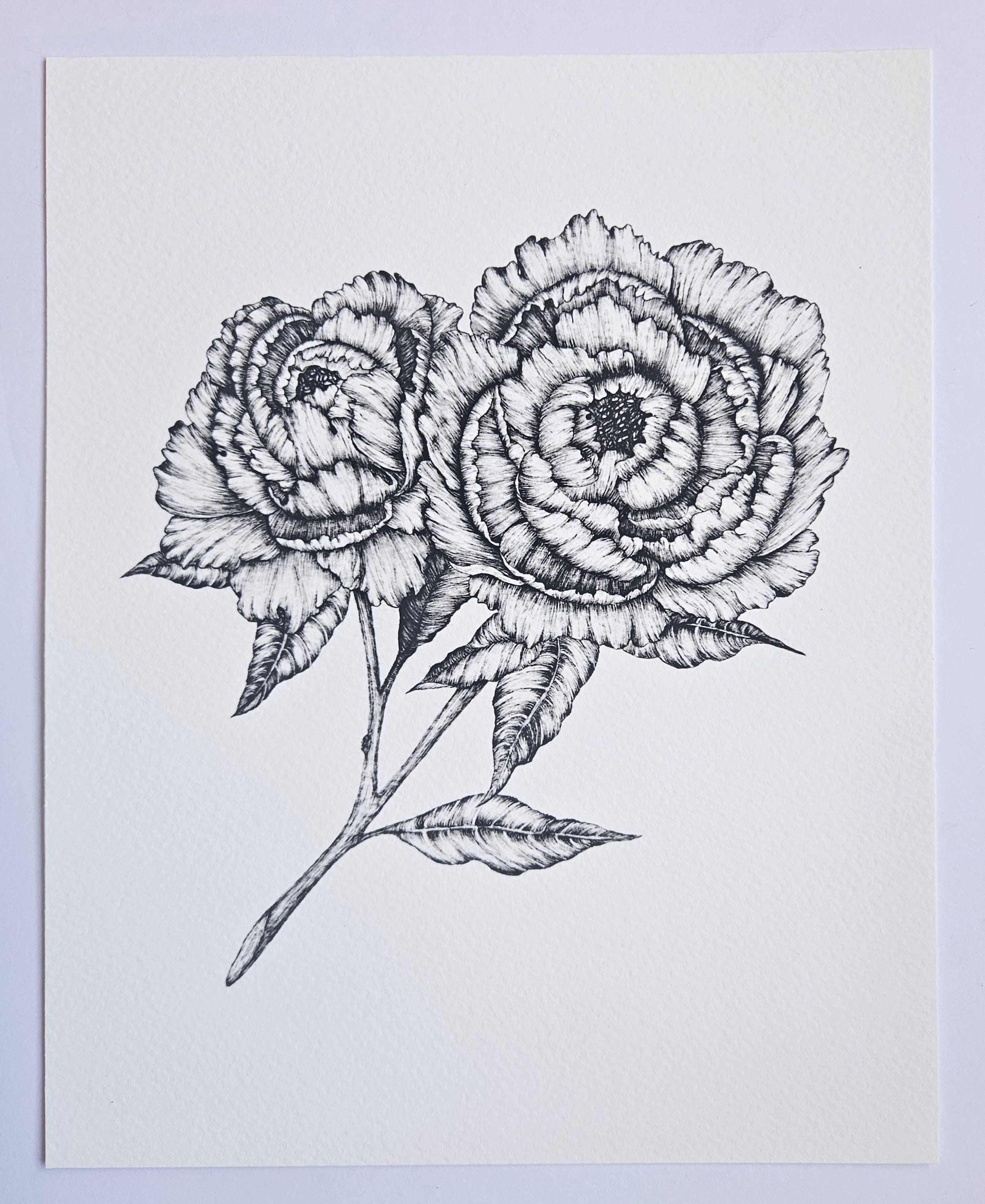 Original Peonies Ink Drawing Print - Etsy
