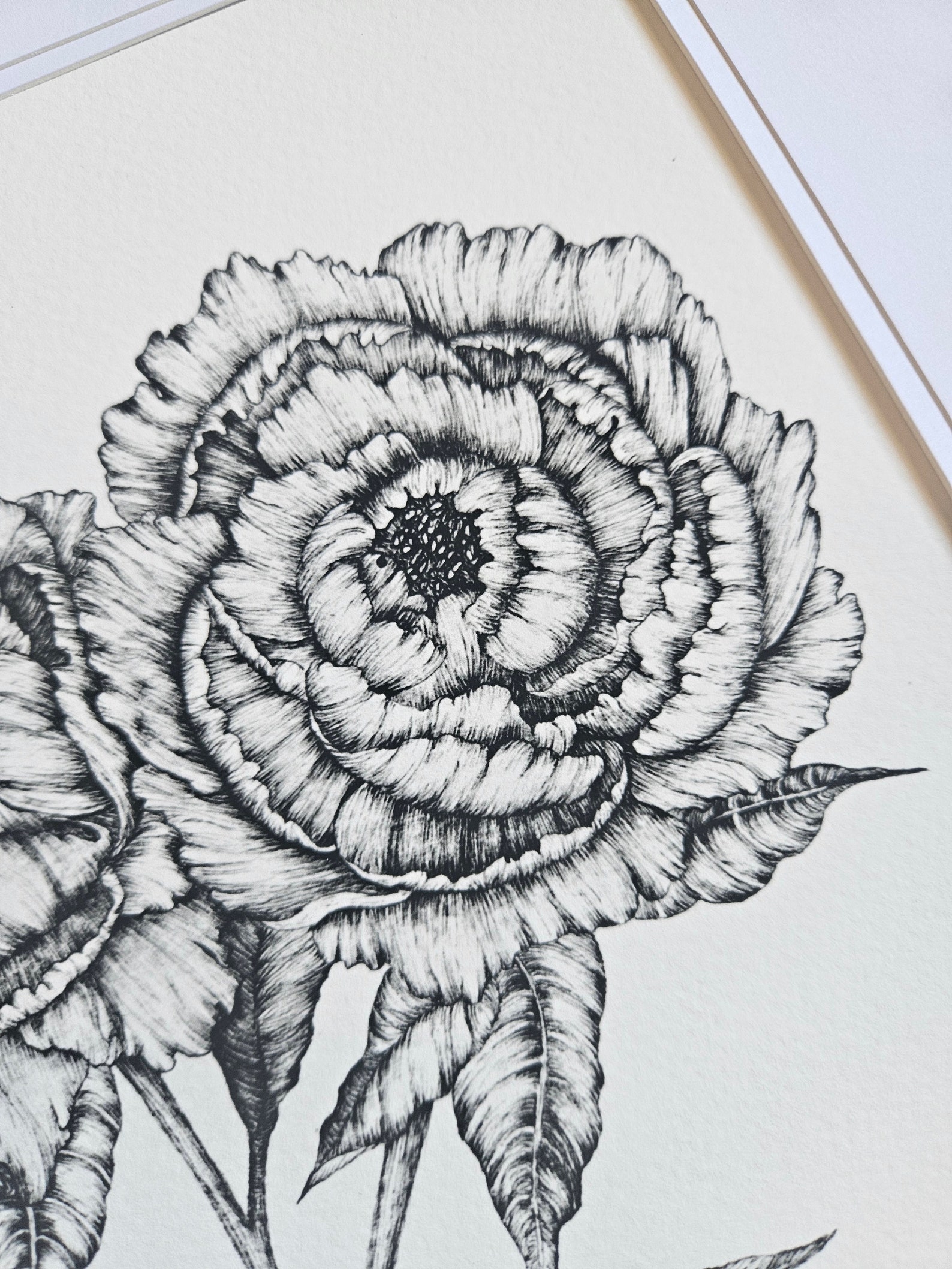 Original Peonies Ink Drawing Print - Etsy