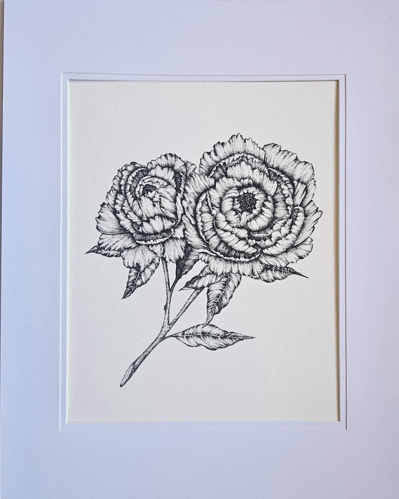 Original Peonies Ink Drawing Print - Etsy