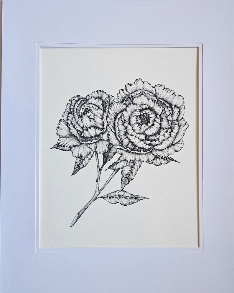 Original Peonies Ink Drawing Print - Etsy