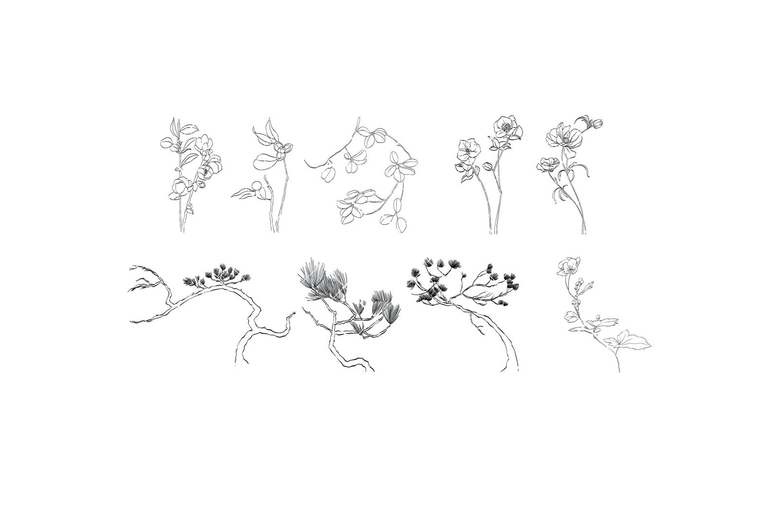 62 Hand Drawn Flower Elements Digital Pack. Hand Draw Clip Art.svg, PNG ...