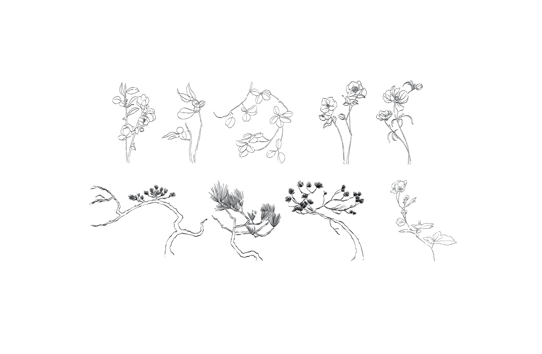 62 Hand Drawn Flower Elements Digital Pack. Hand Draw Clip Art.svg, PNG ...